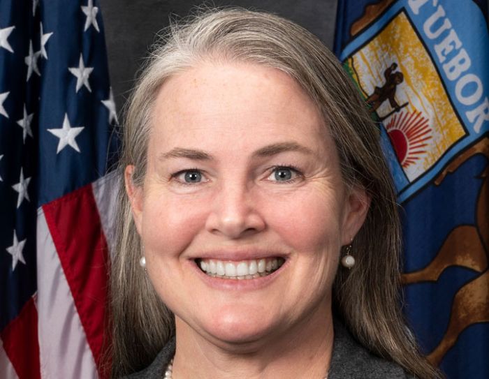 Sue Shink Bio - Detroit Regional Chamber