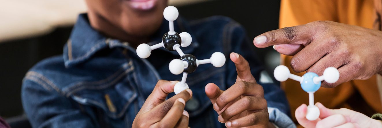 Bridging the Gap: Addressing Racial Disparities in STEM Occupations in ...